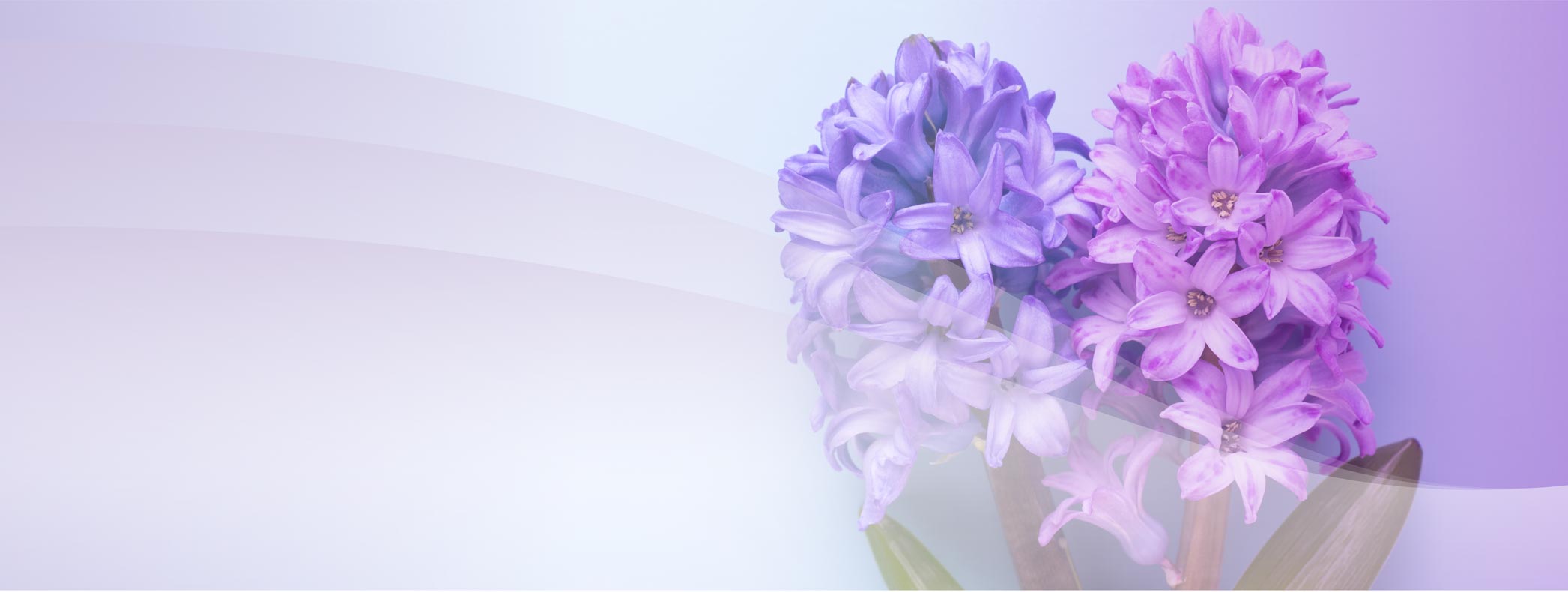 Find Support Eating Disorder Support Network Of Alberta